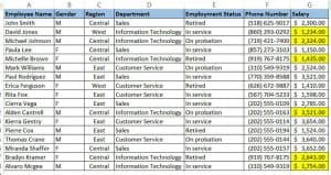 How to Paste into Filtered Column Skipping the Hidden Cells?