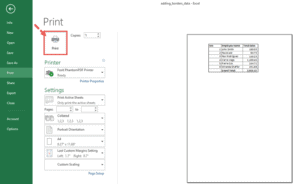 How to Print Gridlines in Excel (3 Easy Ways)
