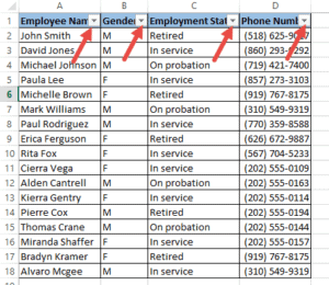 Hide Rows based on Cell Value in Excel (2 Easy Methods)