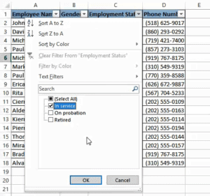 Hide Rows based on Cell Value in Excel (2 Easy Methods)