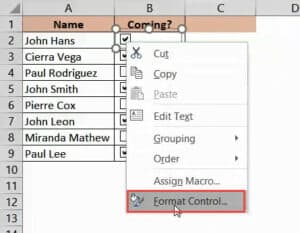 Count the Number of Yes in Excel (Using COUNTIF)