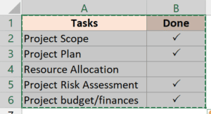 Format Painter in Excel (Shortcut)
