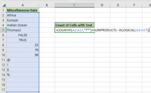 How to Count Cells with Text in Excel? 3 Easy Ways!