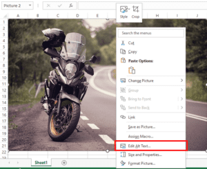 How to Add ALT Text to Objects in Excel? 3 Easy Ways!