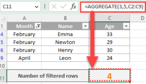 How to Count Filtered Rows in Excel?