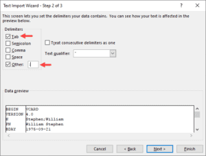 How to Open VCF File in Excel?