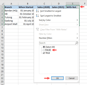 How to Filter Cells with Notes in Excel?