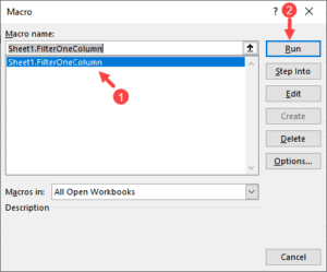 VBA Macro Codes to Filter Data In Excel (Examples)