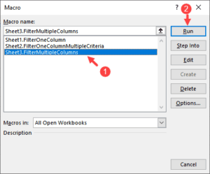 VBA Macro Codes to Filter Data In Excel (Examples)