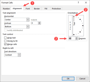 How to Write Vertically in Excel (3 Easy Ways)