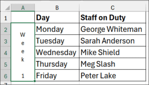 How to Write Vertically in Excel (3 Easy Ways)